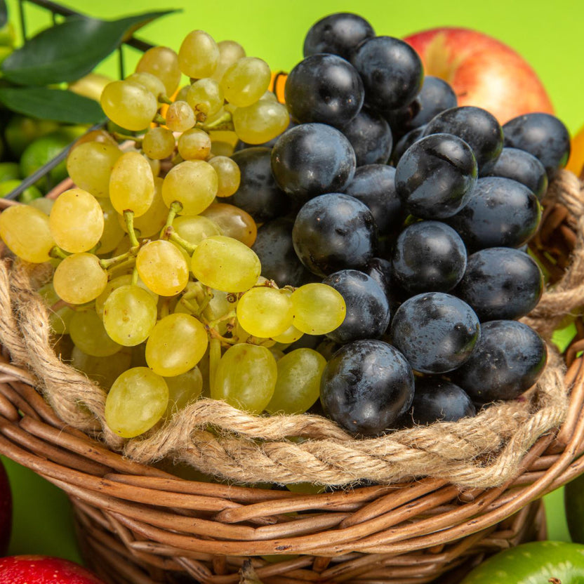 HunyBoost | Your Go-To for Instant Euphoria – HUNY